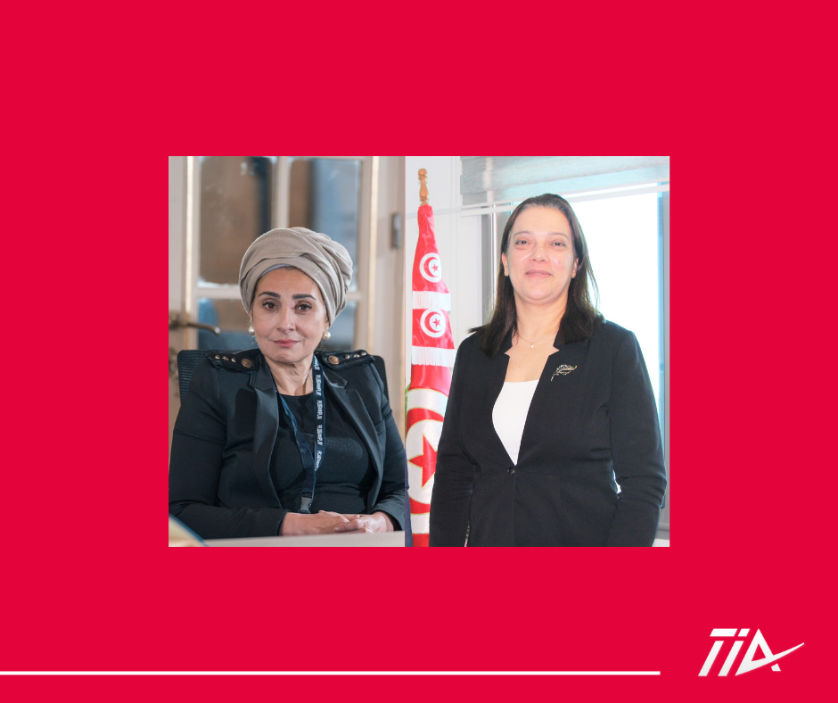 TIA - TIA: Tunisian & Egyptian experiences in terms of Investment ...